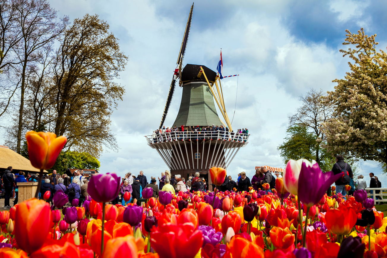 Visitar Lisse • Holanda Amsterdam em 2024